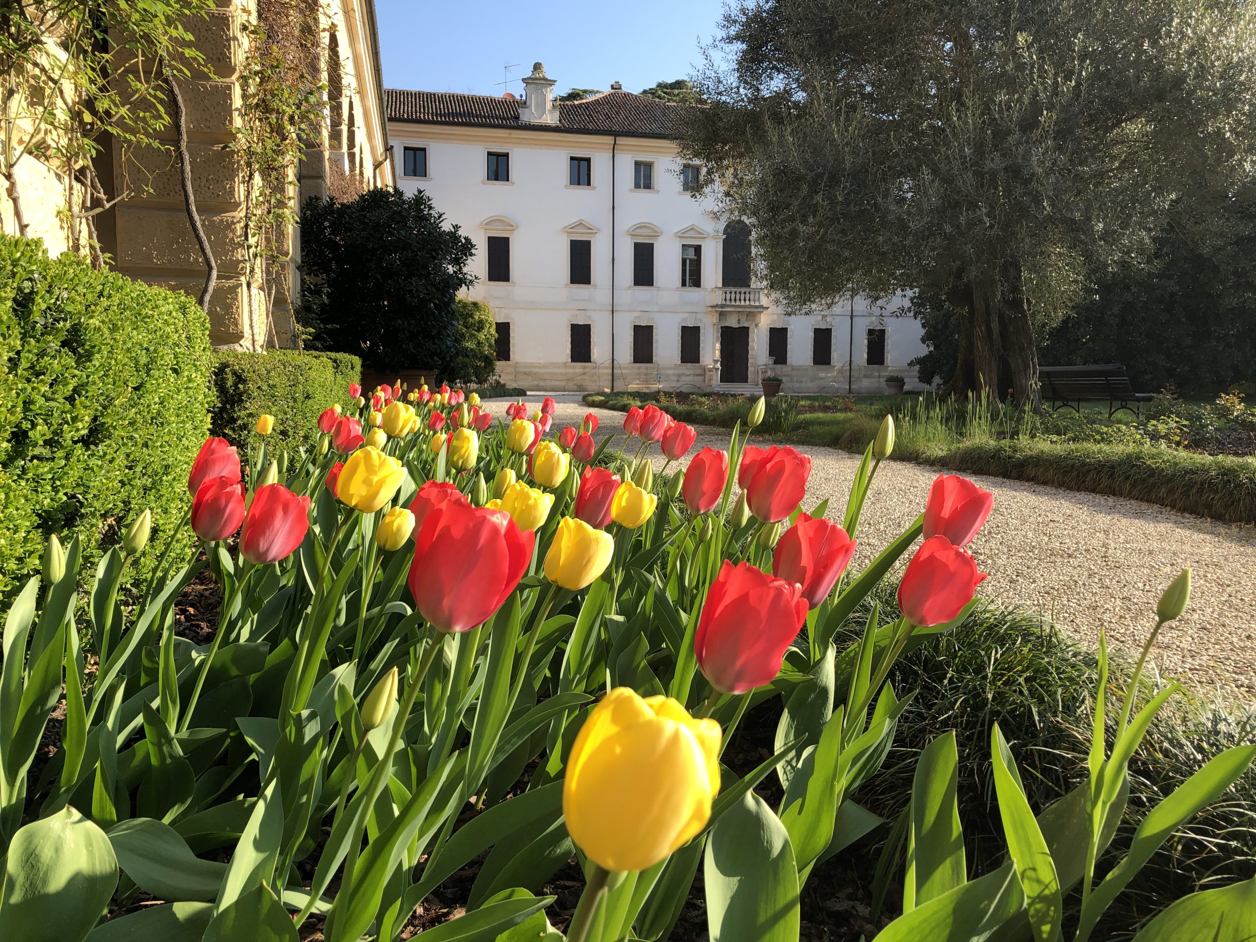 Visite guidate con Veneto Segreto - Sabato 30 marzo - Villa Zileri
